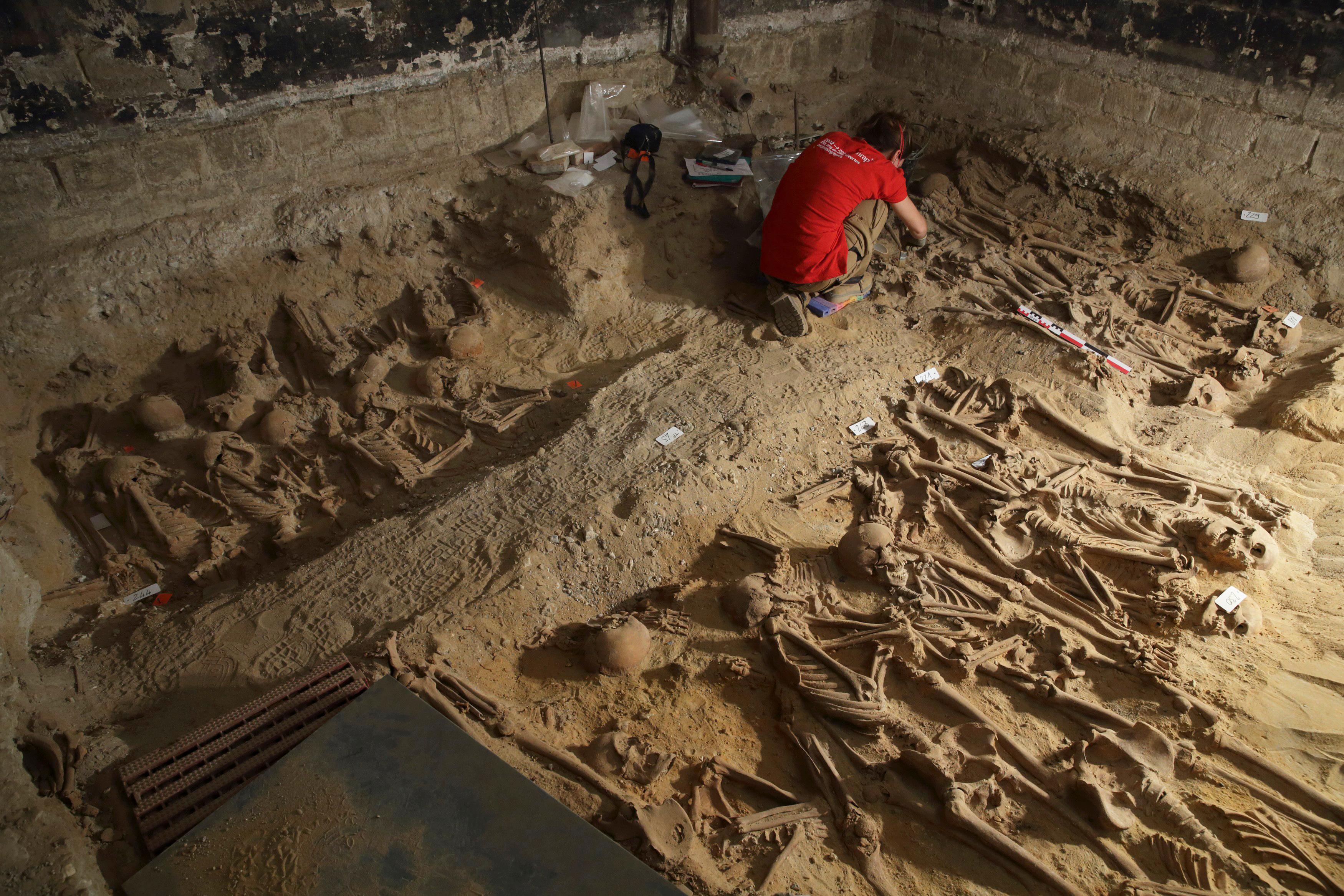 Plague Was Infecting Humans 3,300 Years Earlier Than Thought | Science ...